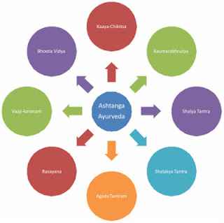 Info Ayurveda: ASHTANGAS OF AYURVEDA-THE EIGHT BRANCHES OF AYURVEDA
