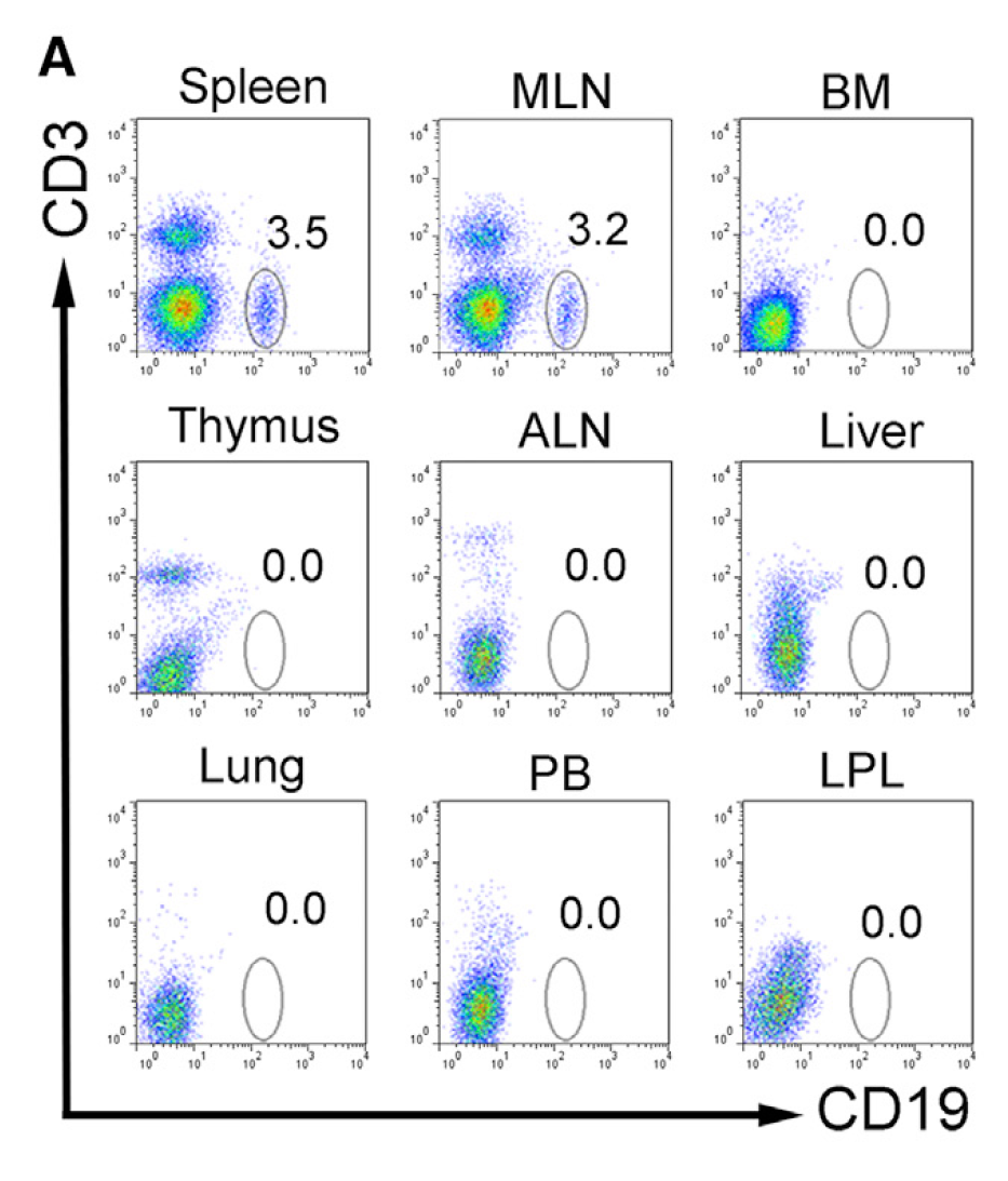 Hybrid NKB cells are source of early IL-18 | NIHilist's Immunology