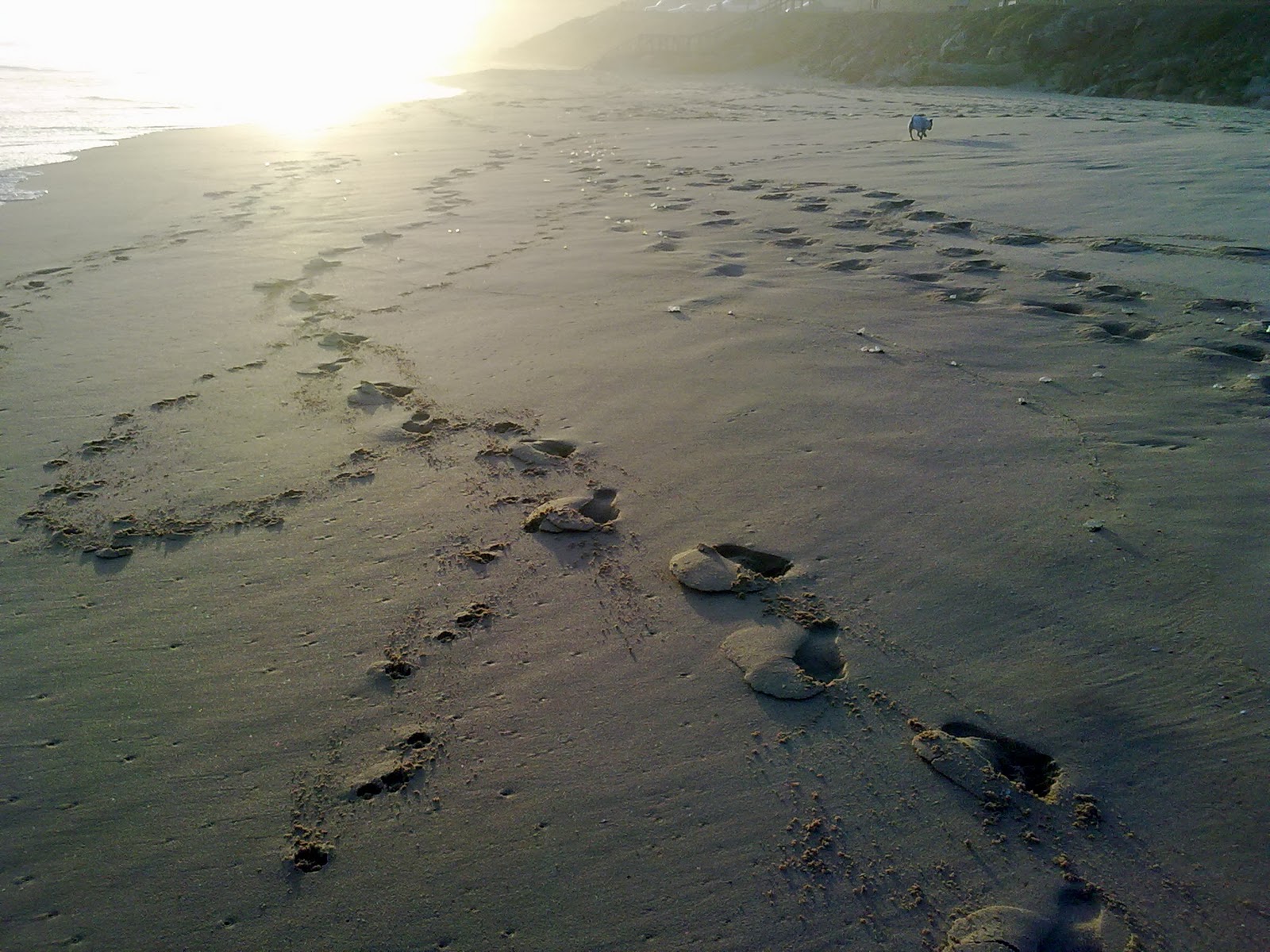 Marietjie Knoetze: Spore in die sand