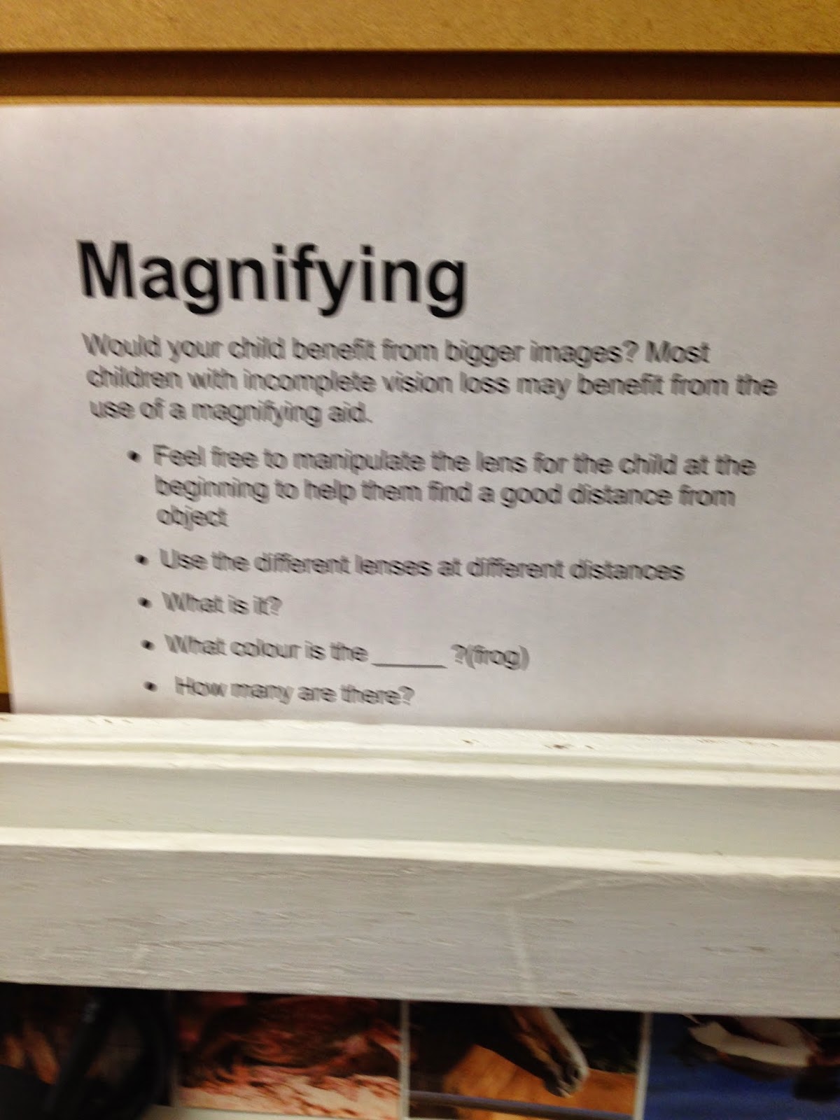 the independent little bee...: Magnifier Discovery Board