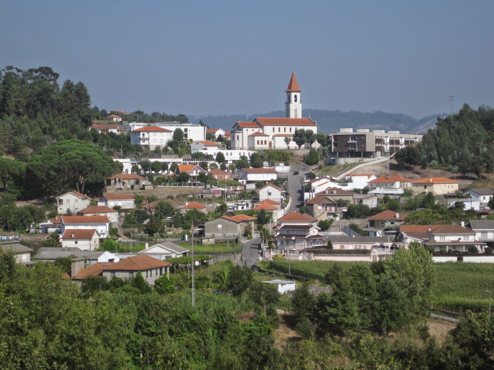 Dia da Juventude 2015 em Moreira de Cónegos