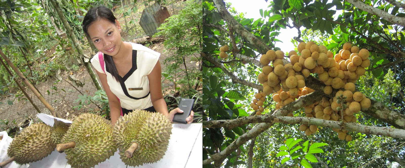 NEGRENSE's DELICACIES: September 2015