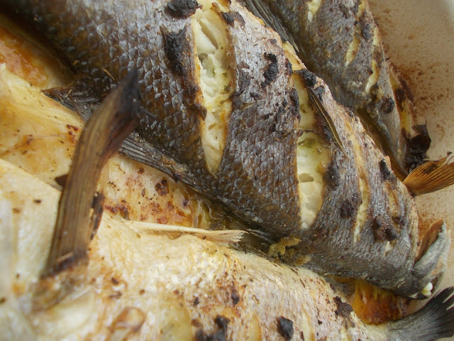 A sada Olja kuva: Brancin