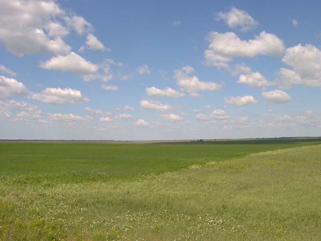 Stories told by DNA: From the Steppe to Central Europe (3600-1600 BC)