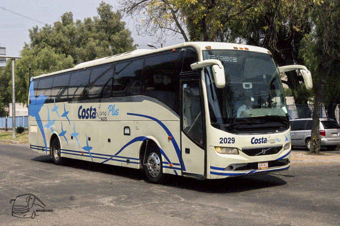 MAXIBUSES: COSTA LINE PLUS