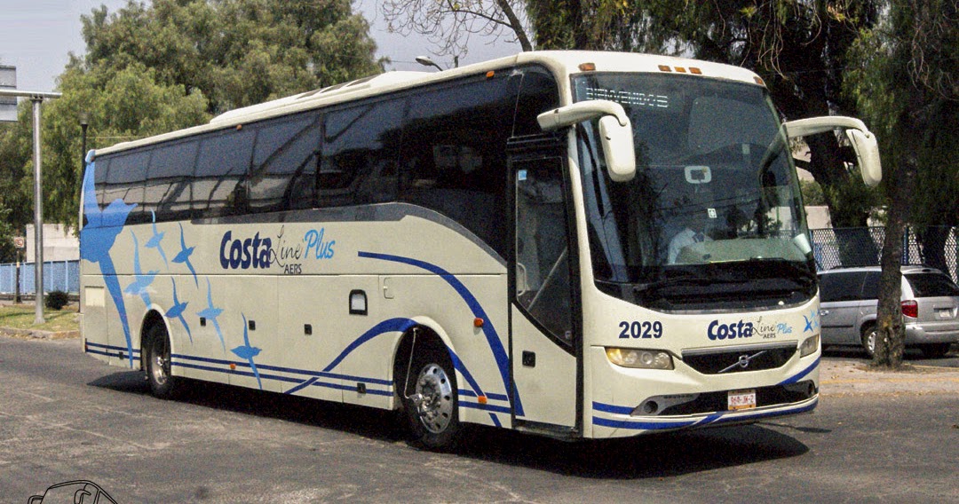 MAXIBUSES: COSTA LINE PLUS