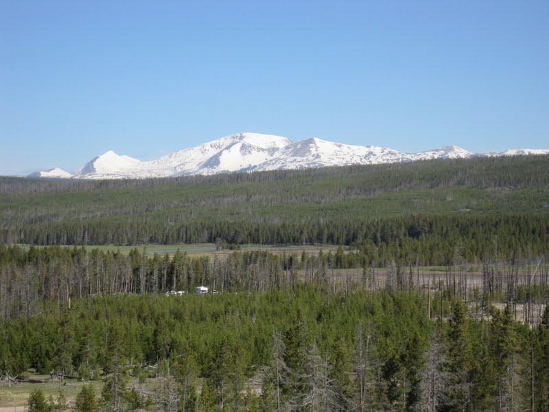 The Scallywagon: YOU SKIN GRIZ', PILGRIM? Yellowstone National Park