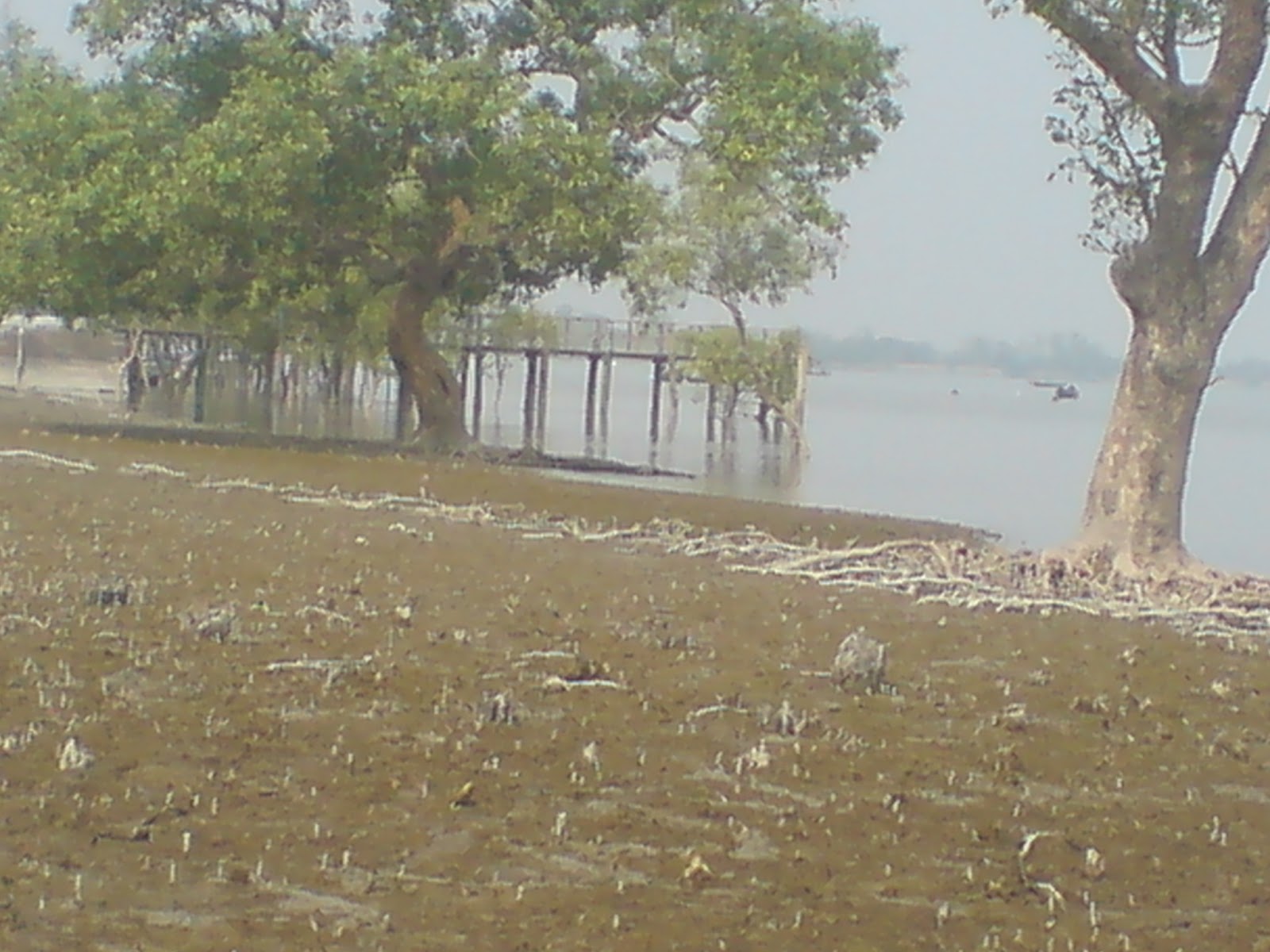 AMAZING BANGLADESH: KAIKHALI : BORDER OF SUNDARBAN