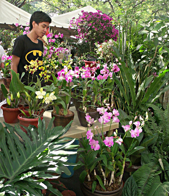 The Early Morning Chat: Random Pictures at Salcedo Village Weekend Market