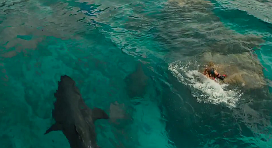 The Horror Club: Theatrical Review: The Shallows (2016)