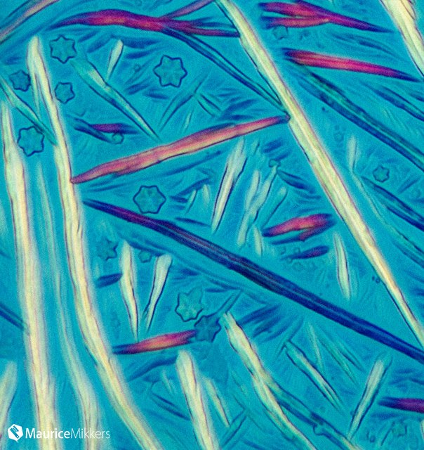 Microscope World Blog: Caffeine under the Microscope