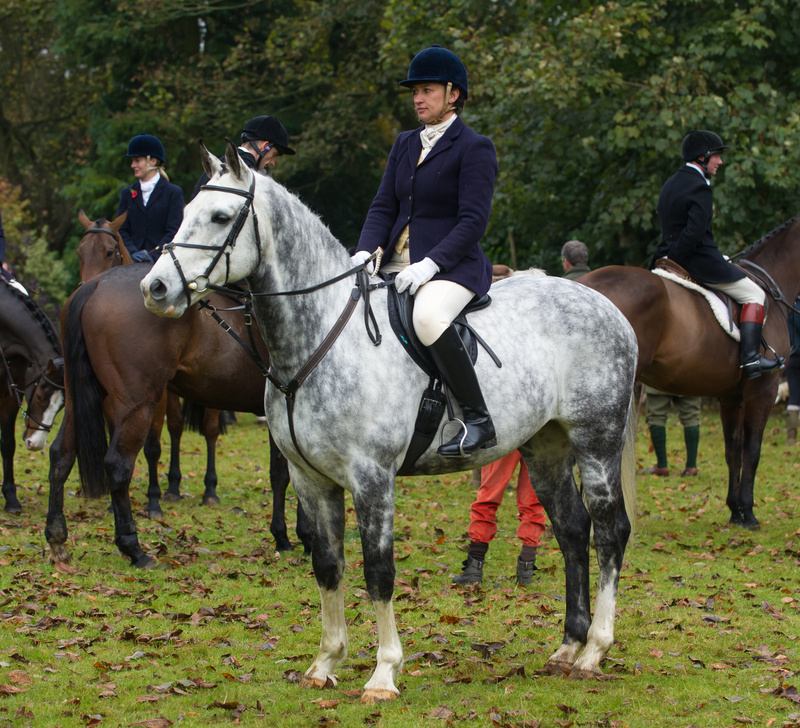 Tales from a Dairy Farmers' Wife: First Frosts, Autumn Leaves and the BBC!