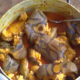 PICTURE OF THE DAY: Snake Stew, Yummy or Yuck? - Nigerian News. Latest ...
