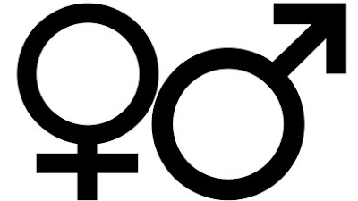 O que significam os símbolos de gênero? | Dicas da Évelin