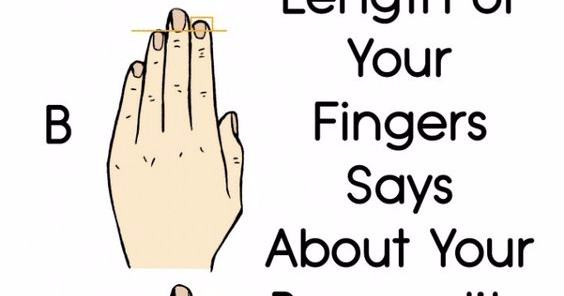 What The Length of Your Fingers Says About Your Personality - BEAUTIFUL ...