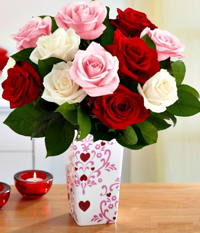 Beauty Of Flowers: World Of Roses