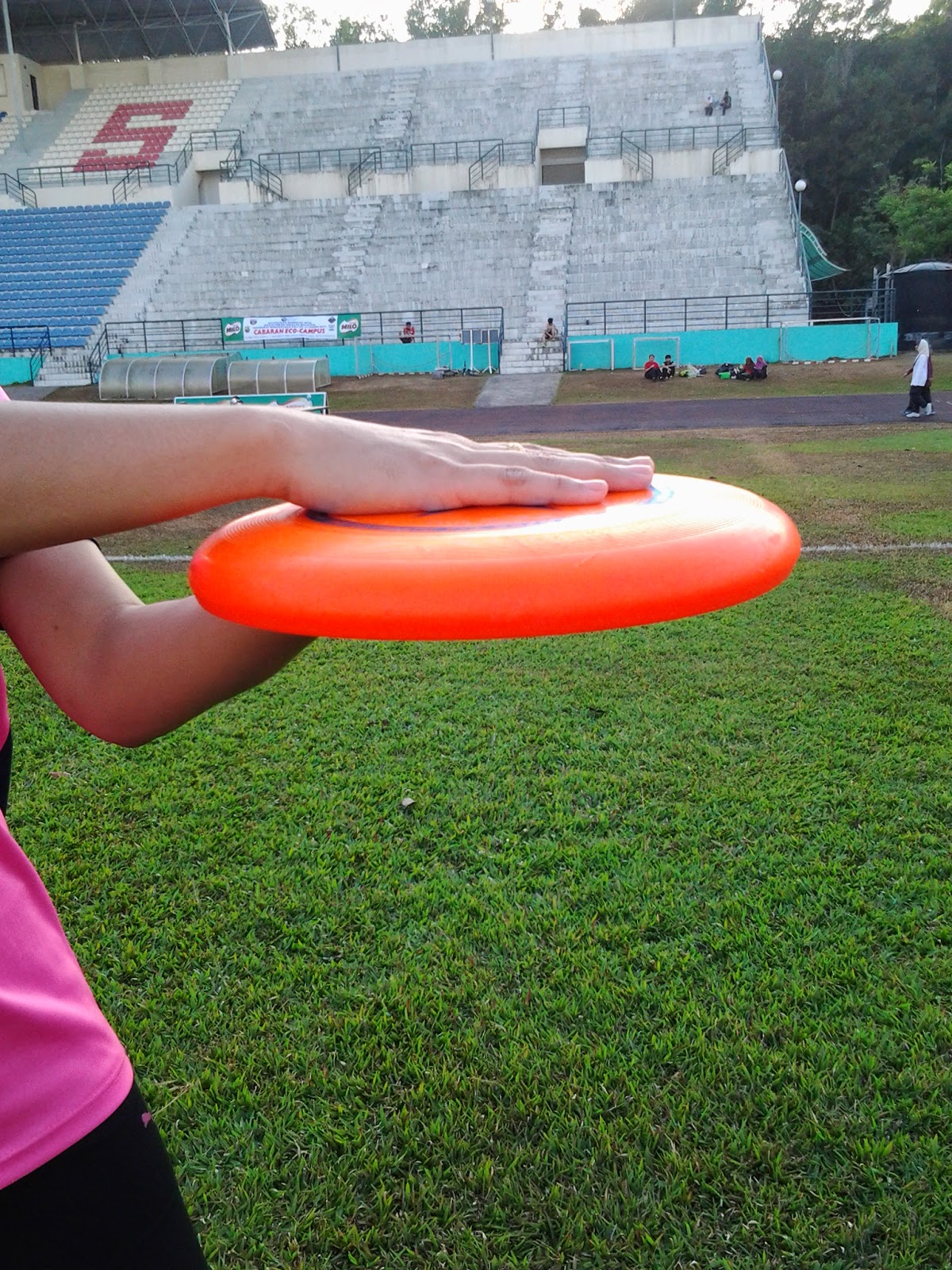 Sukan Ultimate (Frisbee): TEKNIK DAN STRATEGI PERMAINAN