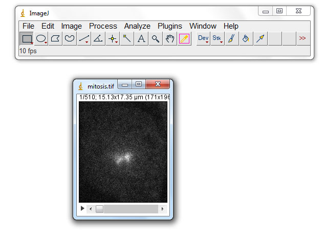 My imageJ: เมนู Image with ImageJ [ตอนที่ 48] Hyperstacks, สร้างแปลง ...