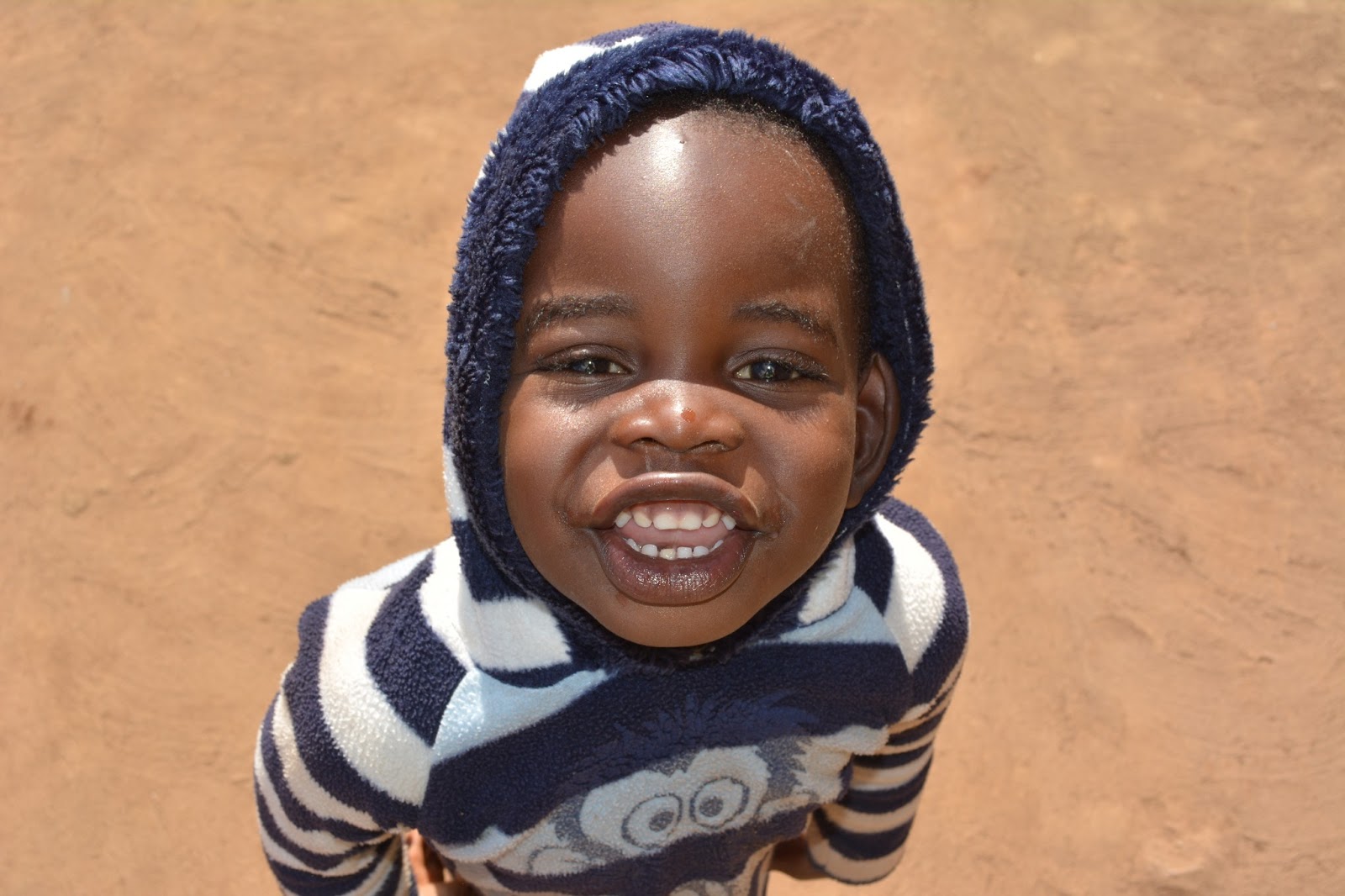 Do I Really Need That Rabies Shot...? : Kruger National Park--> Ha ...