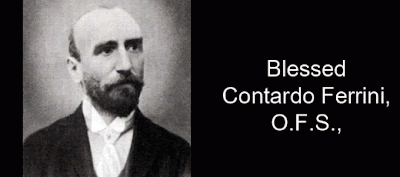 Little Plant of St. Francis: 10/20/13