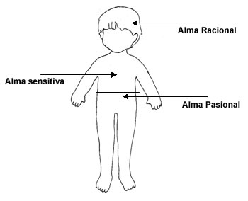 PLATON: El alma para platon
