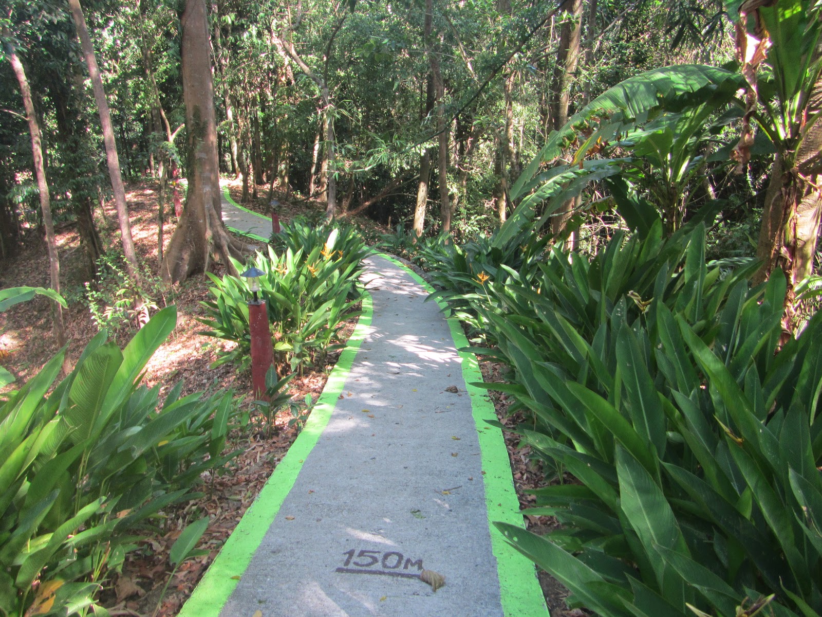 LEXICAL CROWN: EPIC PARC RAINFOREST CAMP (TANAY, RIZAL)