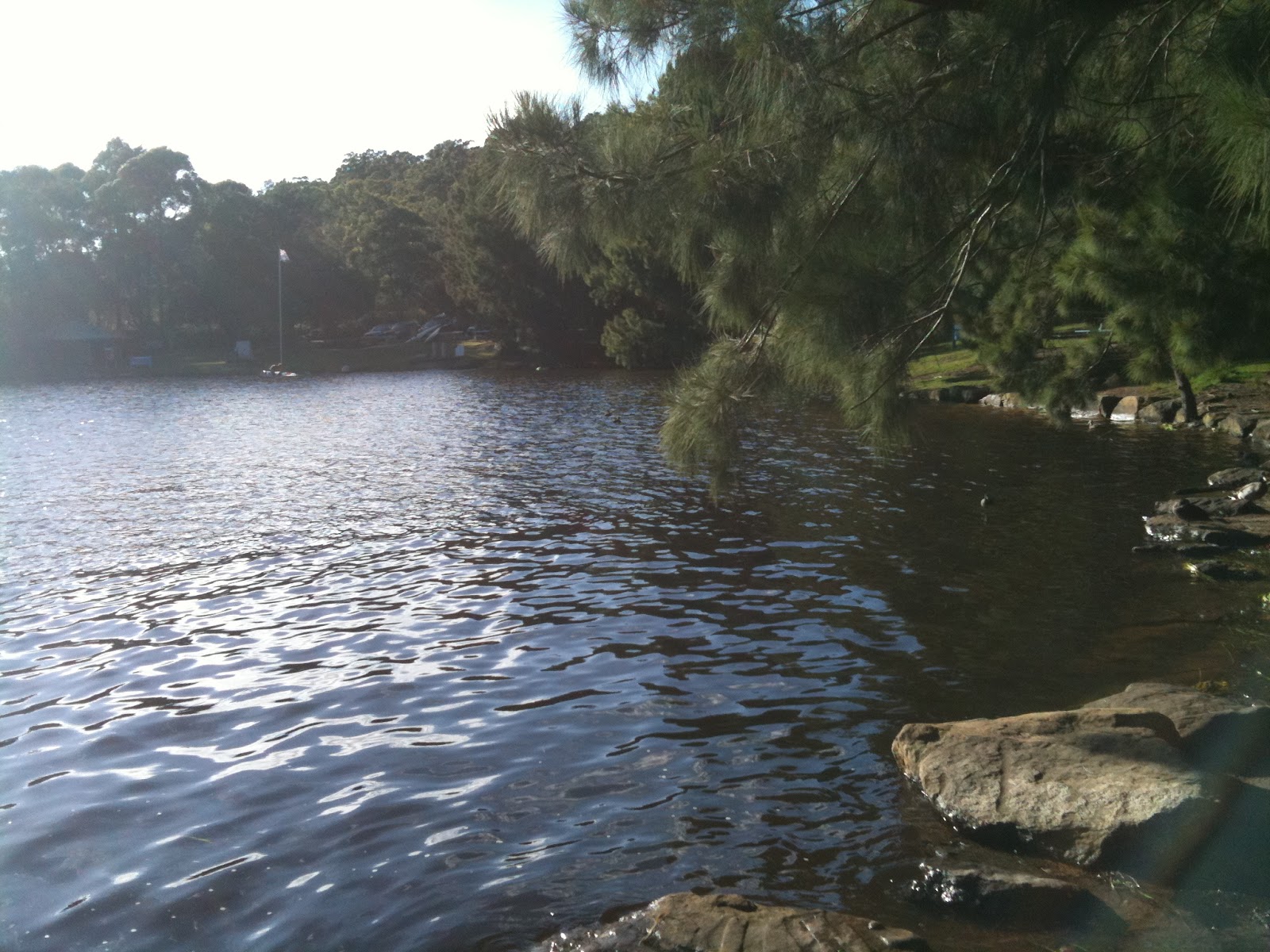 Around the tracks: Manly Dam