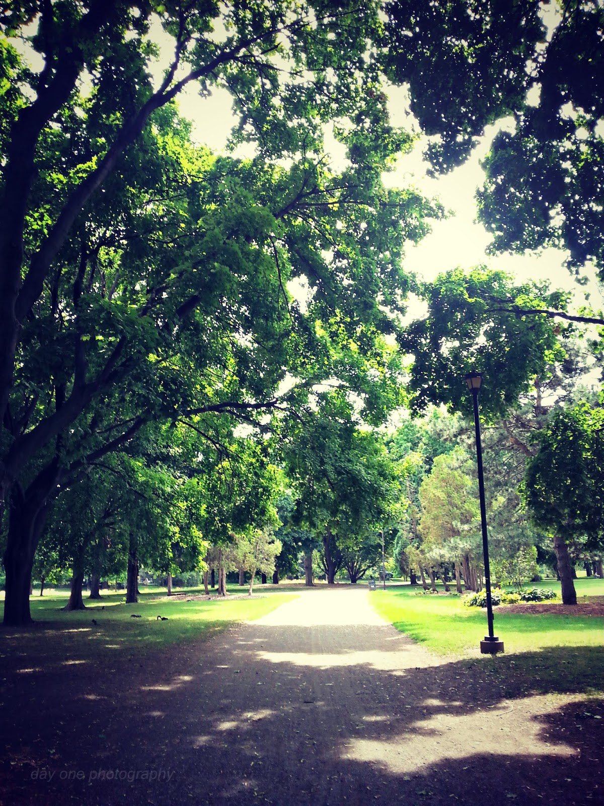 Day One Photography: At The Park