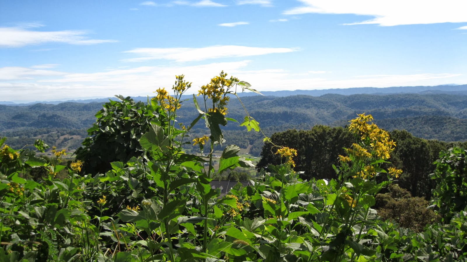 Lee County Virginia: Stop # 9: Powell Mountain Overlook near Stickleyville