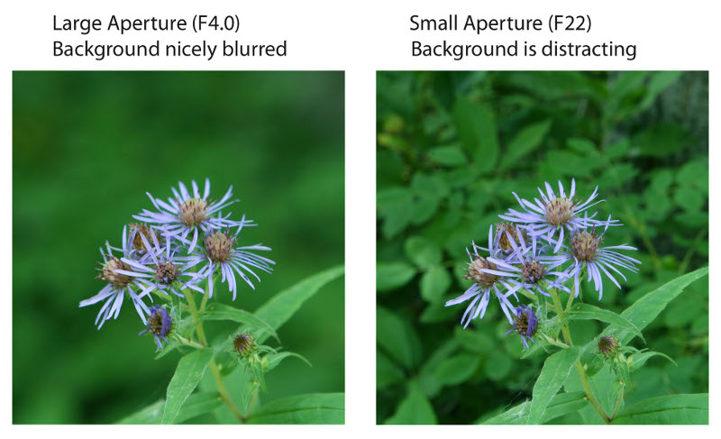 Big aperture and small aperture lens difference - polizscape