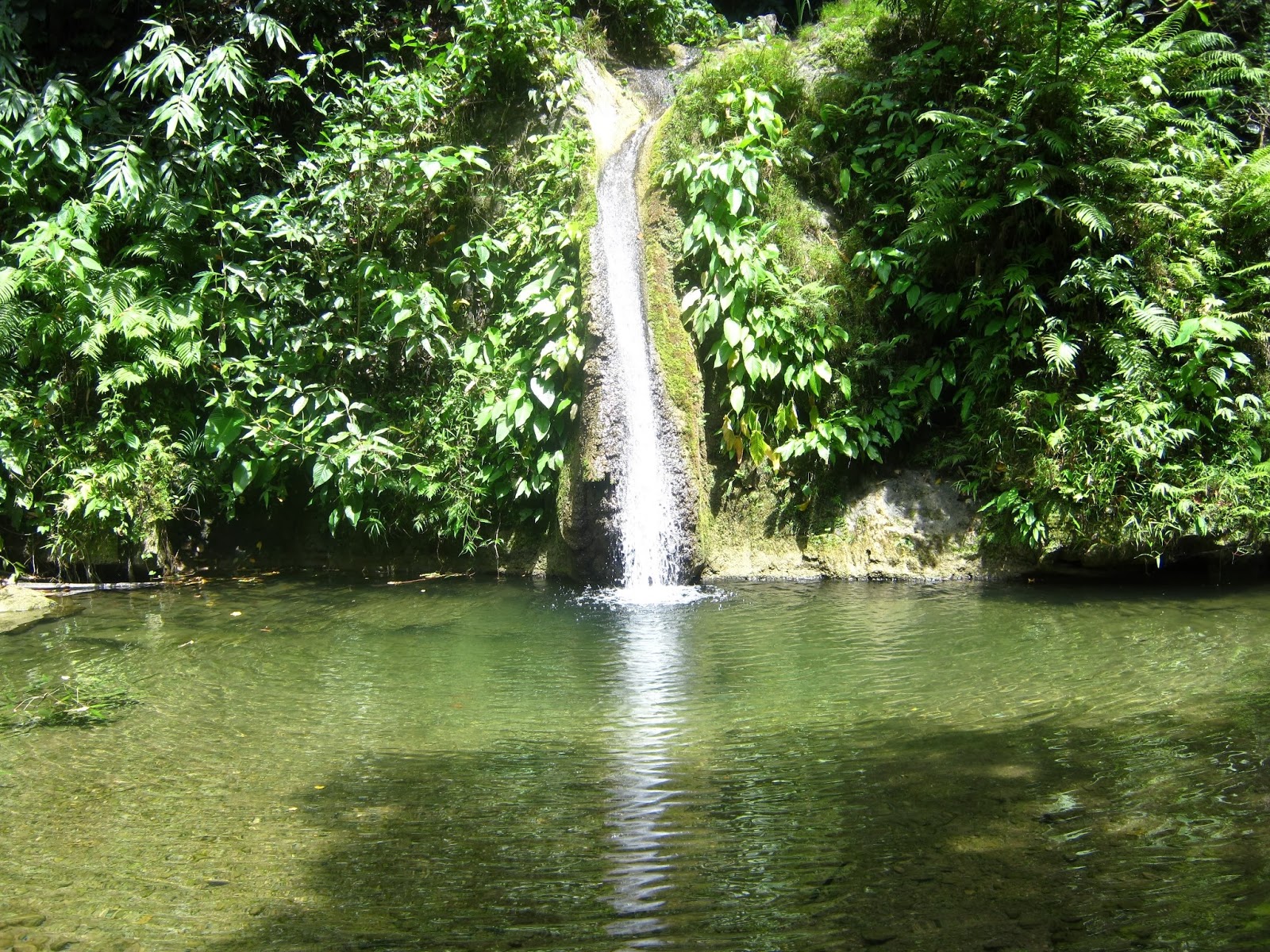 Climbing Mount Babag Part 3: The Long and Easier Route and the Falls