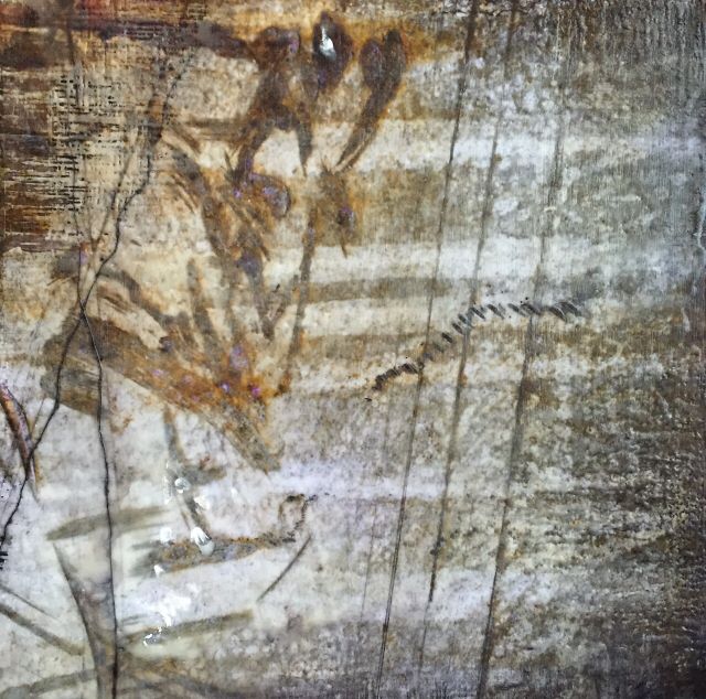 jean larson photography