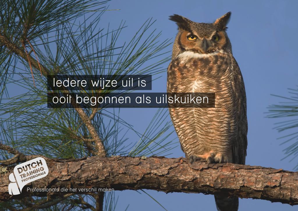 Leuk en Informatief!: Uil en uilskuiken