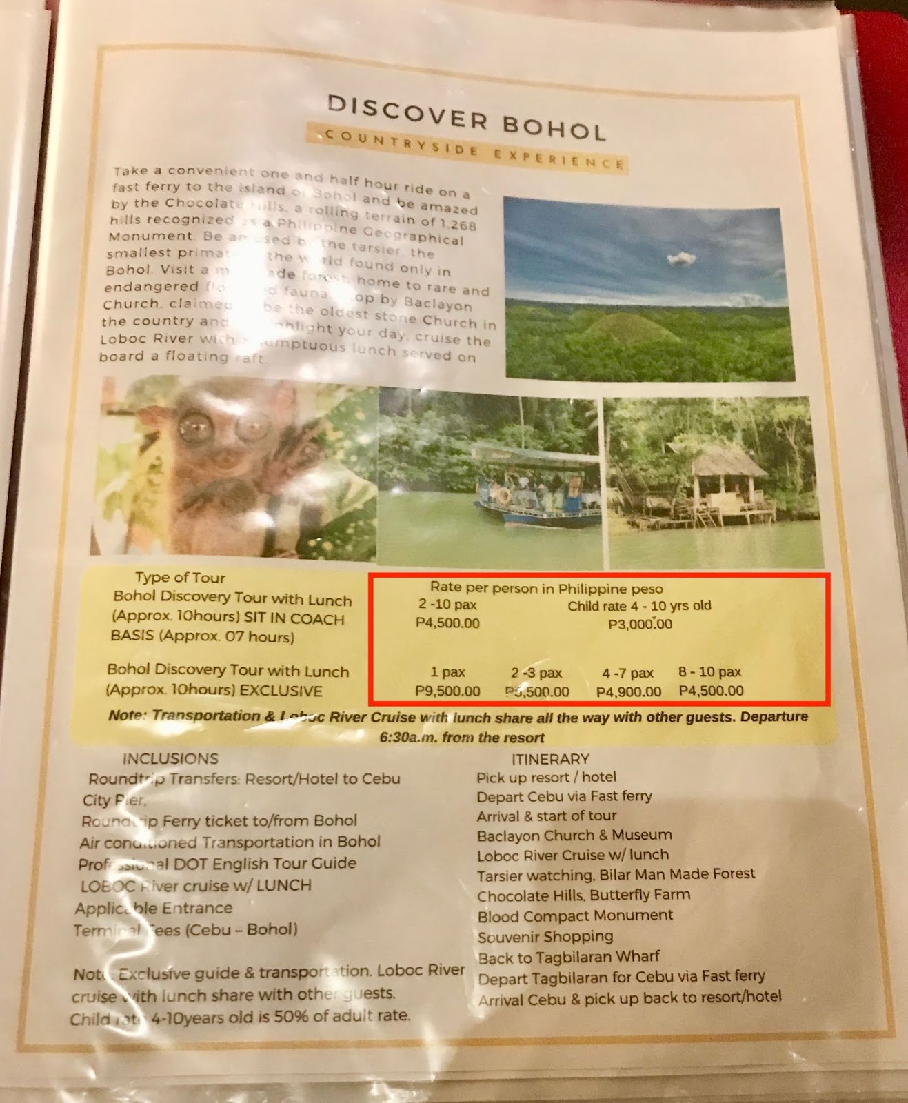Plan your own Bohol Tour - The Island of Tarsiers and Chocolate Hills