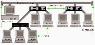 REDES: TOPOLOGIA DE BUS