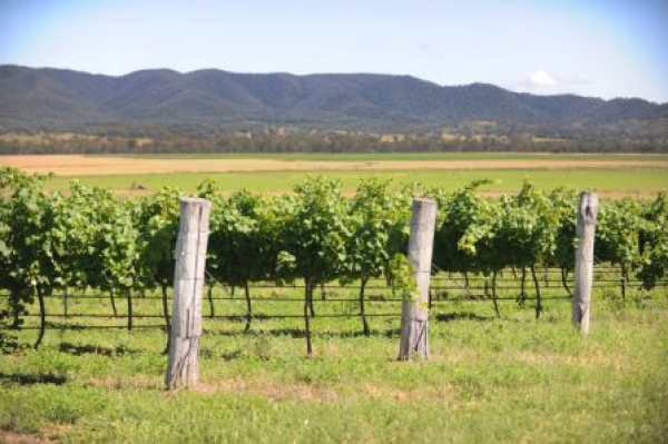 New England, Australia: From Africa's Great Lakes to Mingoola's Field ...