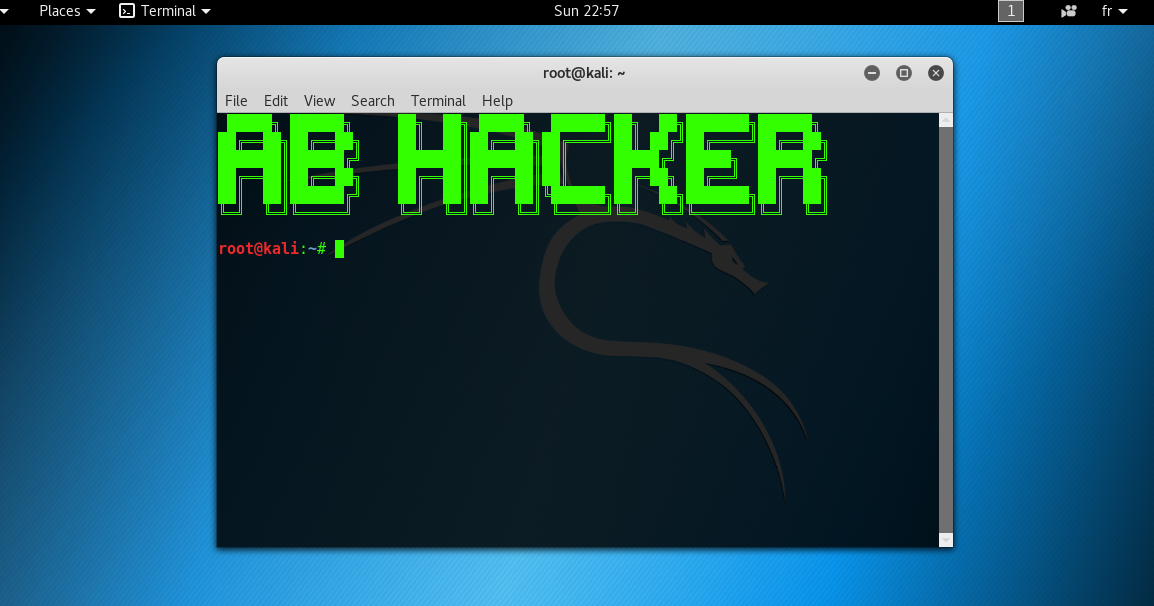 How to hack instagram account using kali linux - lasoparoyal