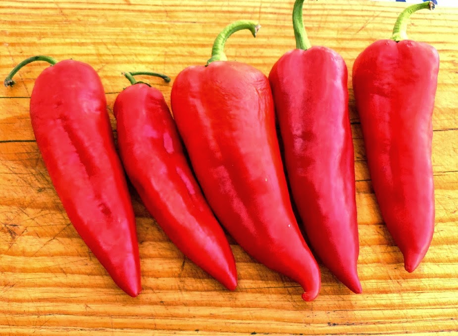 Outras Comidas: Pimentos Vermelhos Italianos, Recheados