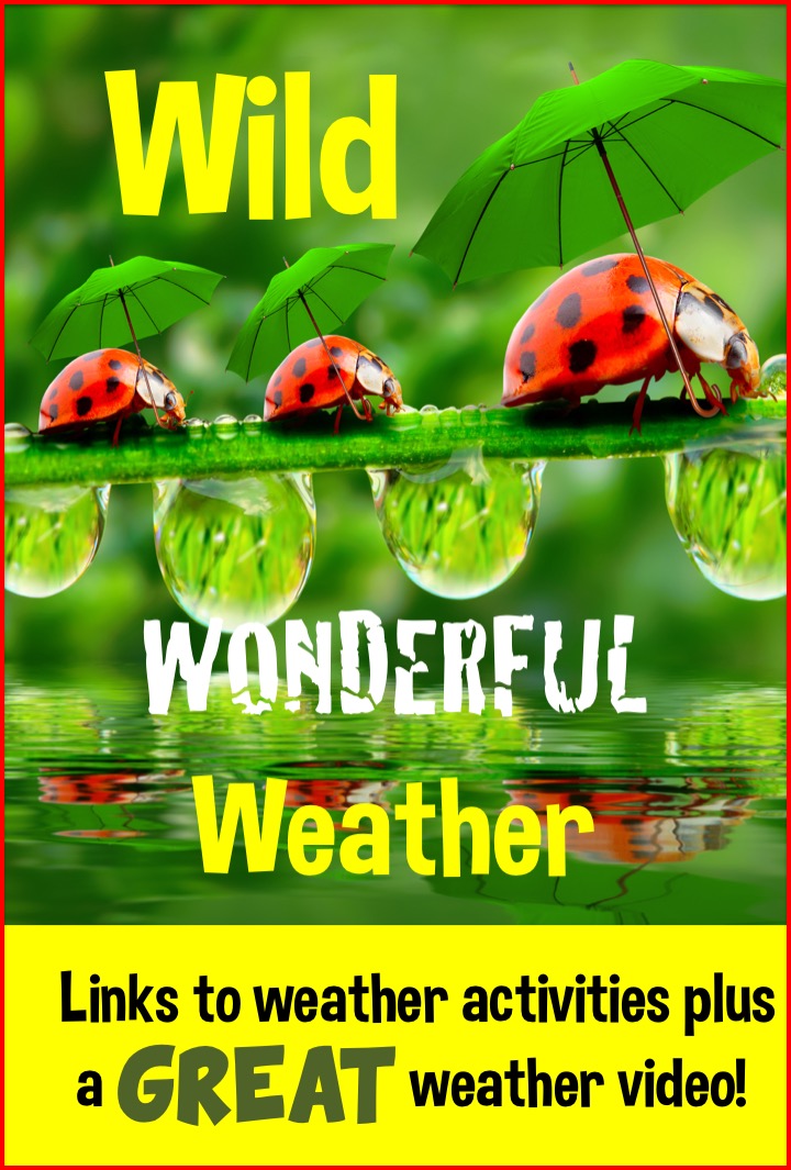 Dragon's Den Curriculum: Wild, Wonderful Weather!