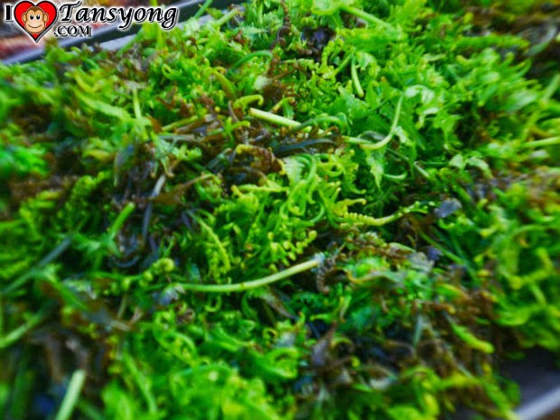 Curious to taste Paco or simply Edible Fern? - I ♥ Tansyong™