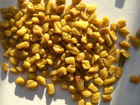 Délices and co: ÉPICES ET CONDIMENTS: LE FENUGREC