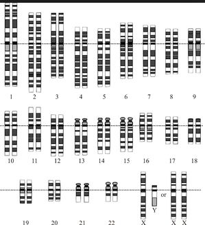 Building block of genome |Genetic Engineering Info