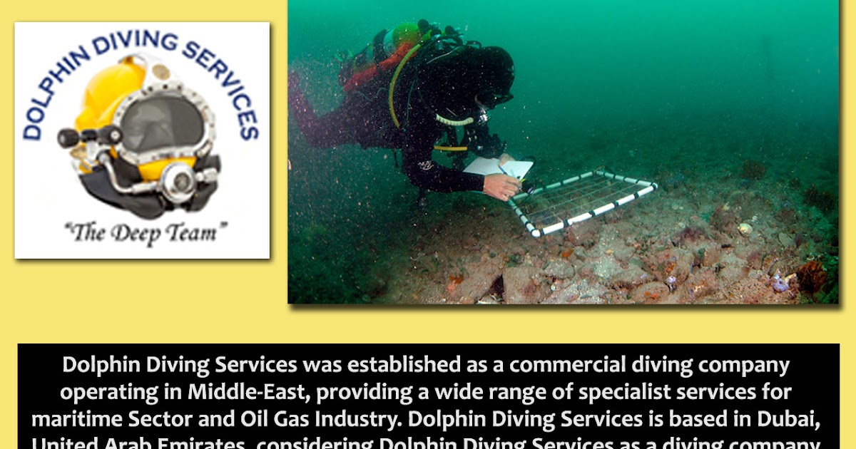 Welcome to Dolphin Diving Services: Seabed Surveyi n Dubai