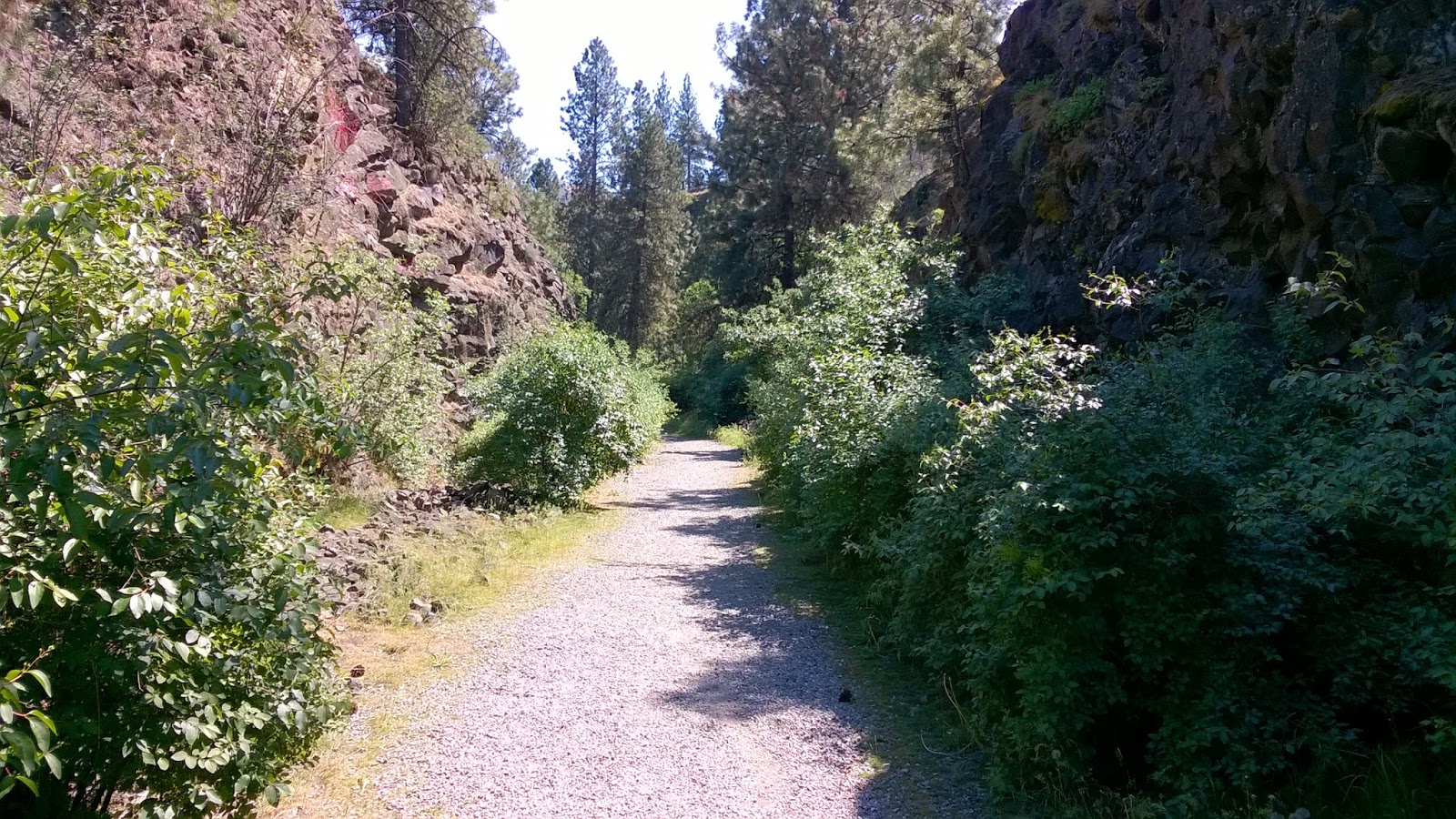 Rail Trailing: Ben Burr Trail