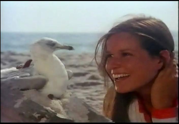 DREAMS ARE WHAT LE CINEMA IS FOR...: LAST SUMMER 1969