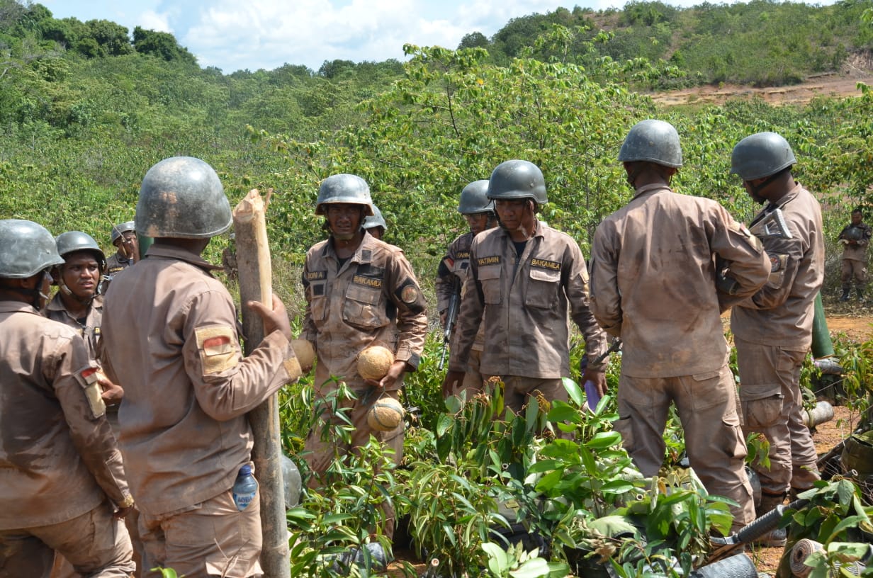 Paramiliter Bakamla Latihan Kompas Bintang dan Jungle Survival
