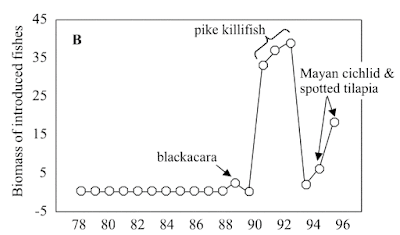 Virginia Tech Ichthyology Class : Pike Killifish: A Small, Specialized ...