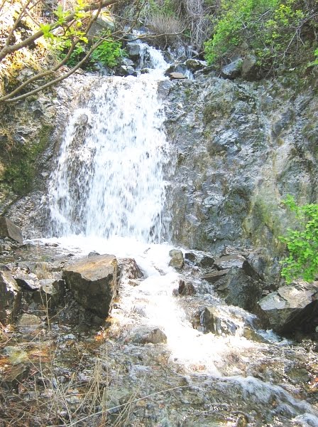 BRT Insights - WW Kayaking & Hiking: Mount Diablo State Park, Donner ...