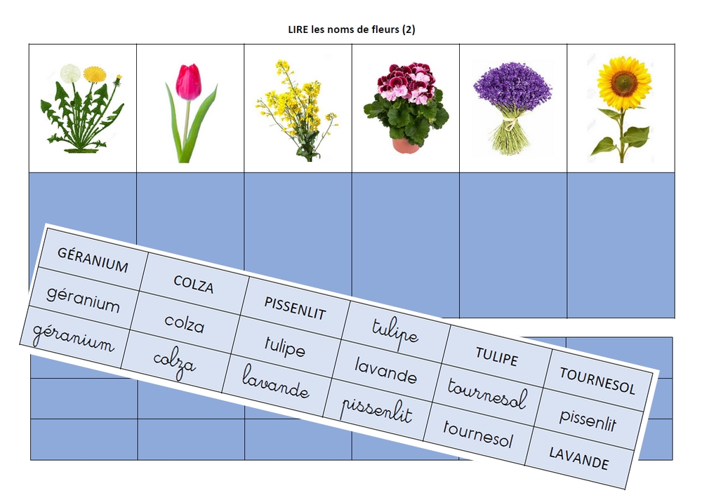 Le Journal de Chrys: Autour des FLEURS