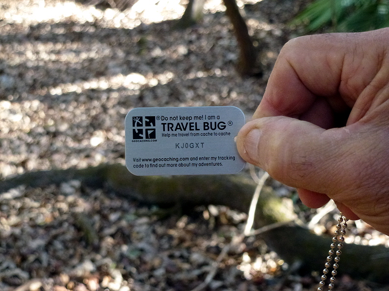 NANCY and BILL: Manatee Springs State Park–Sunday–December 30,2013